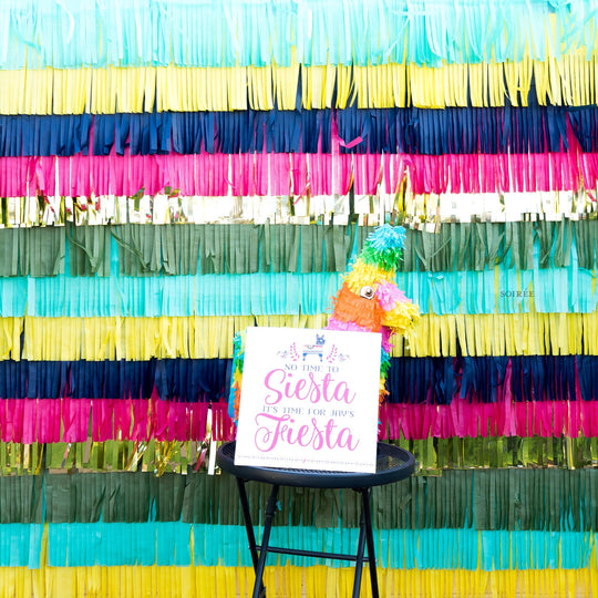 DIY CUSTOM FIESTA Fringe Backdrop | Taco Party Decoration | Taco Party ...